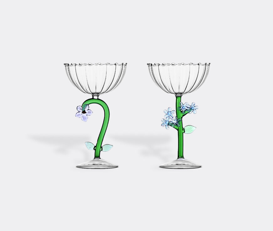 'Botanica' champagne glass, set of six by Ichendorf Milano | Glassware | FRANKBROS